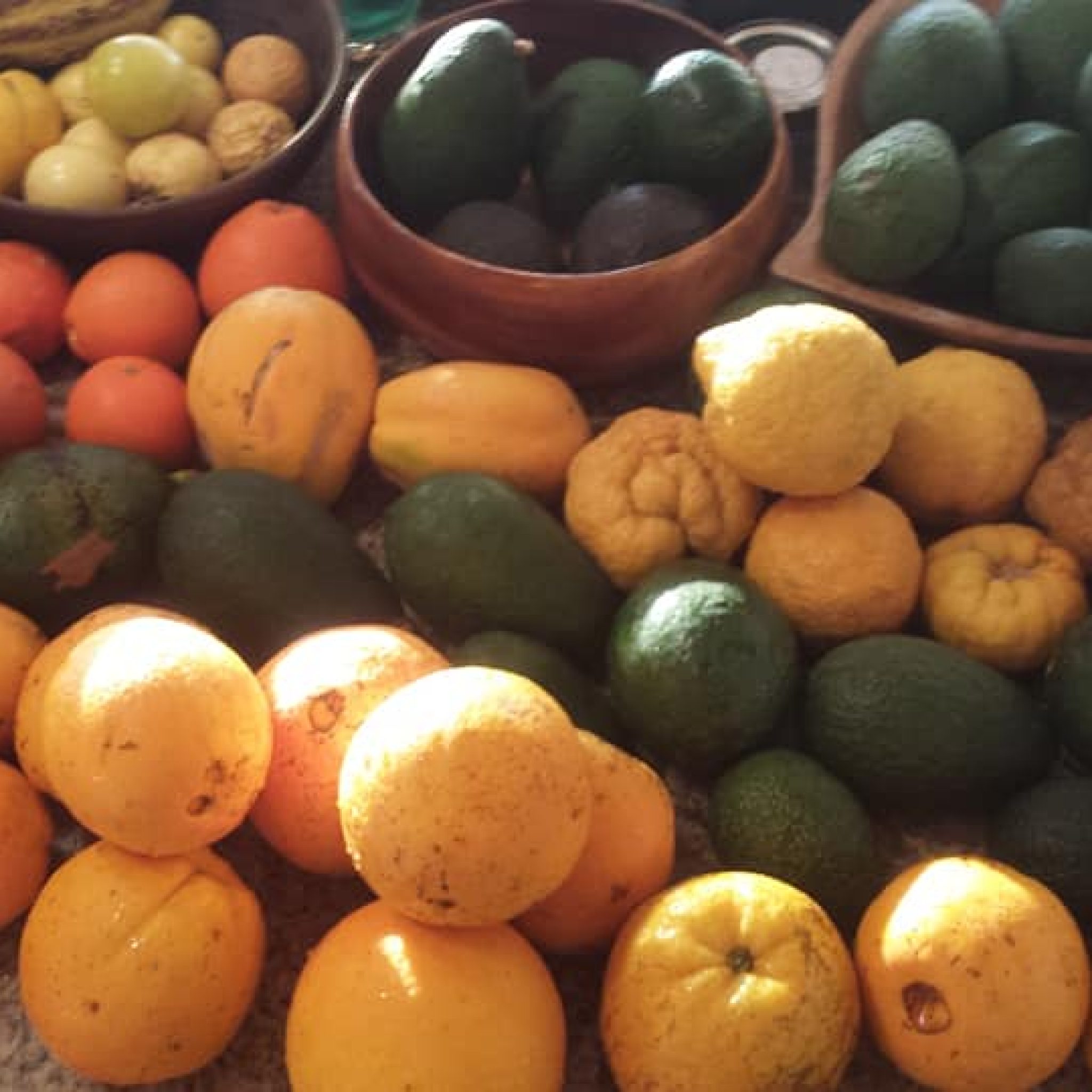 Sky House Hawaii - Food Forest Project - We Help Grow Strong Healthy ...