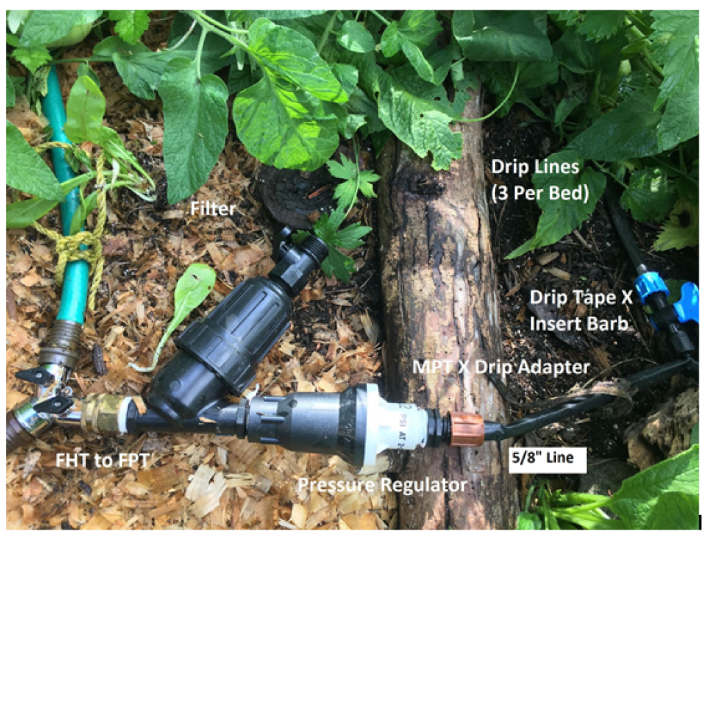 Simple Drip Irrigation Systems - Nigel Kay Permaculture Design Salt ...