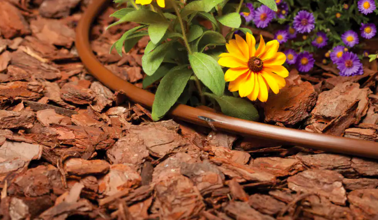 Drip Irrigation - We Help Grow Strong Healthy Families & Communities ...