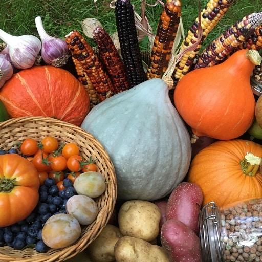 Complete Organic Fertilizer Service - We Help Grow Strong Healthy ...